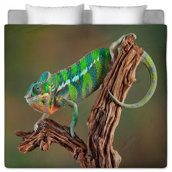 Tropical Comforters, Duvets, Sheets & Sets | Custom