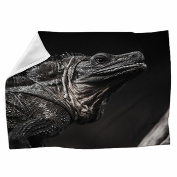 Lizard Fleece Blanket Throws | Free Personalization