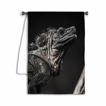 Lizard Shower Curtains, Bath Mats, & Towels Personalize