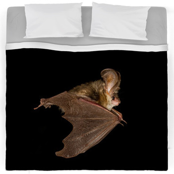 Bat Bedding | Comforters, Duvet Covers, Sheets & Bed Sets | Personalized