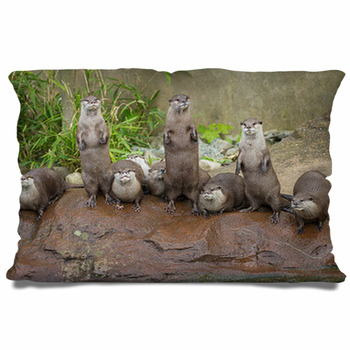 Otter Comforters, Duvets, Sheets & Sets | Custom
