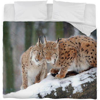 Bobcat Fleece Blanket Throws | Free Personalization
