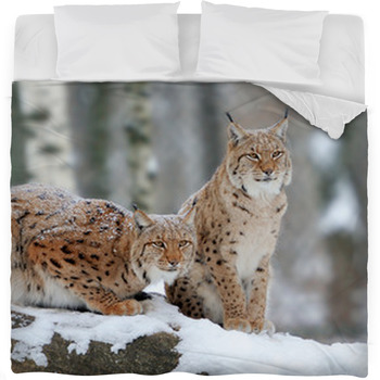 Bobcat Fleece Blanket Throws | Free Personalization