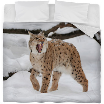 Bobcat Comforters, Duvets, Sheets & Sets | Personalized