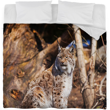 Bobcat Comforters, Duvets, Sheets & Sets | Personalized