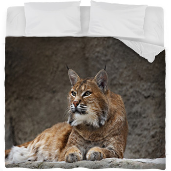 Bobcat Comforters, Duvets, Sheets & Sets | Personalized