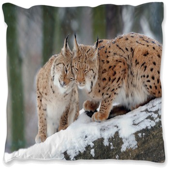 Bobcat Comforters, Duvets, Sheets & Sets | Personalized