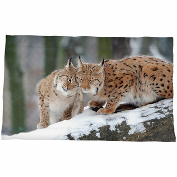 Bobcat Comforters, Duvets, Sheets & Sets | Personalized