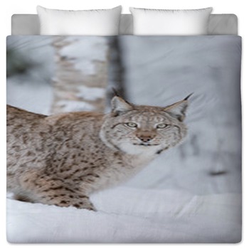 Bobcat Comforters, Duvets, Sheets & Sets | Personalized