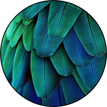 Feather Rugs & Custom Size Floor Mats