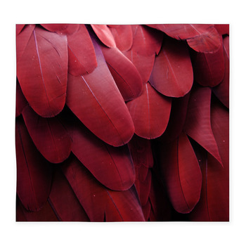 Feather Rugs & Custom Size Floor Mats