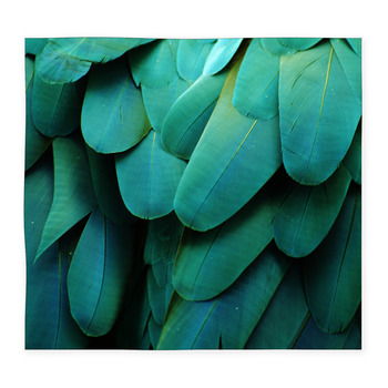 Feather Area Rugs & Custom Size Floor Mats