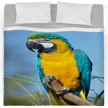 Parrot Comforters, Duvets, Sheets & Sets | Personalized