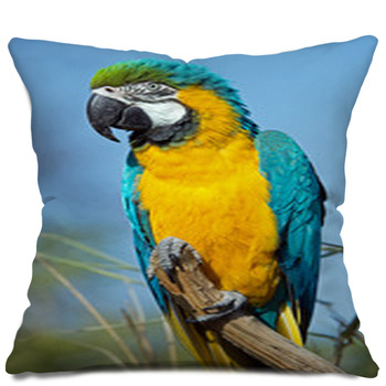 Parrot Throw Pillows, Shams & Pillow Cases