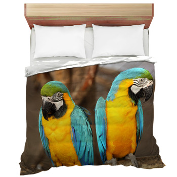 Parrot Comforters, Duvets, Sheets & Sets | Personalized