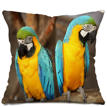Parrot Throw Pillows, Shams & Pillow Cases