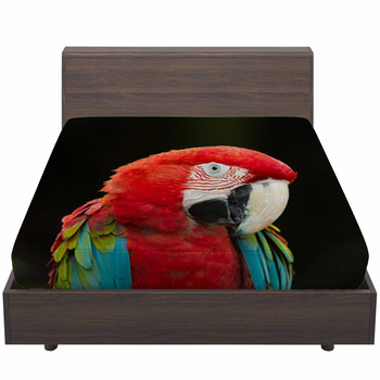 Parrot Comforters, Duvets, Sheets & Sets | Personalized