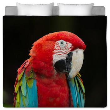 Parrot Comforters, Duvets, Sheets & Sets | Personalized
