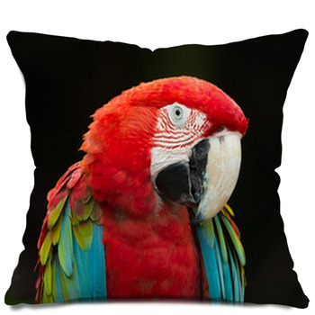 Parrot Throw Pillows, Shams & Pillow Cases