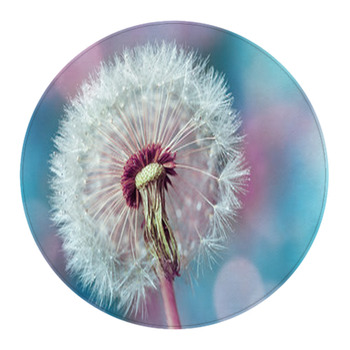 Dandelion Area Rugs & Floor Mats