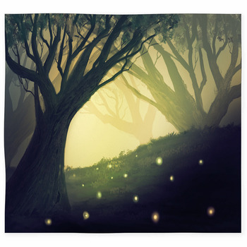 Firefly Area Rugs & Floor Mats