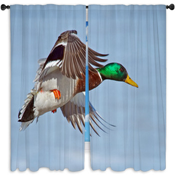 Duck Curtains & Drapes | Block Out | Custom Sizes