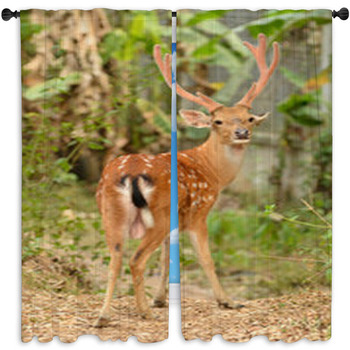 Deer Drapes & Window Treatments | Block Out | Custom Sizes