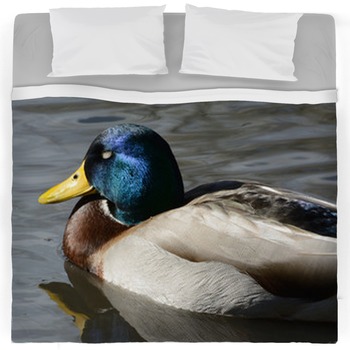 Duck Comforters, Duvets, Sheets & Sets | Personalized
