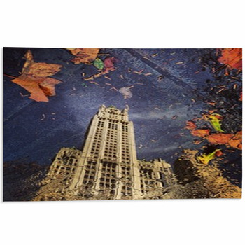 New york Area Rugs & Custom Size Floor Mats