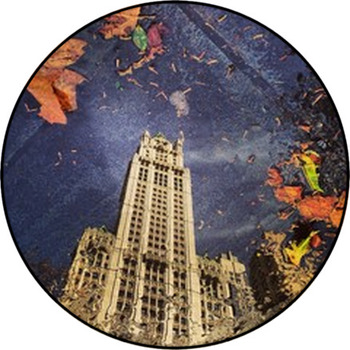 New york Area Rugs & Floor Mats