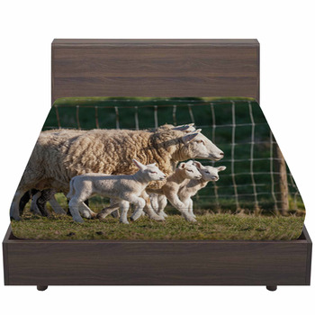 Farm animal Comforters, Duvets, Sheets & Sets | Custom