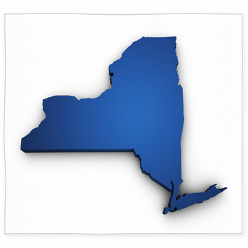 New york Area Rugs & Floor Mats