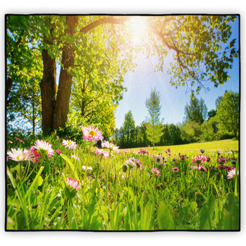 Spring Area Rugs & Custom Size Floor Mats