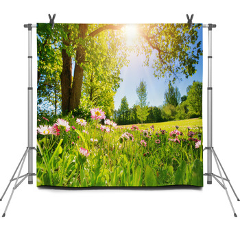 Spring Custom Backdrops | Available in nearly ANY Custom Sizes