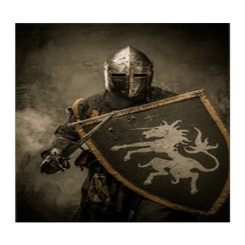 Knight Wall Decor | Murals | Tapestry | Posters | Custom Sizes