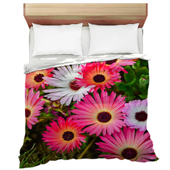 Daisy Comforters, Duvets, Sheets & Sets | Custom