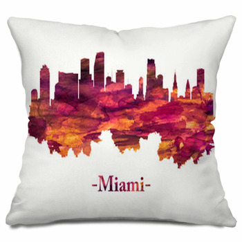 Florida Throw Pillows, Cases