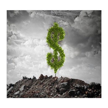 Money Wall Decor in Canvas, Murals, Tapestries, Posters & More