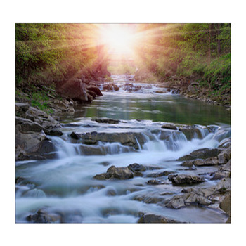 Nature Wall Decor in Canvas, Murals, Tapestries, Posters & More