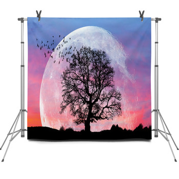 Moon Photographer Backdrops | Available in Very Large Custom Sizes