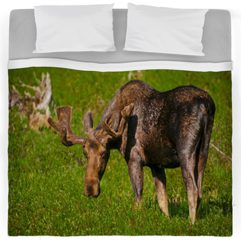 Moose Comforters, Duvets, Sheets & Sets | Custom