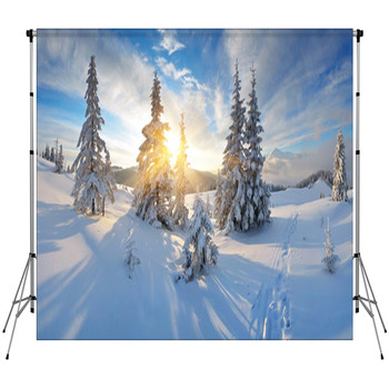 Winter Photo Backdrops | Available in Ultra Large Custom Sizes