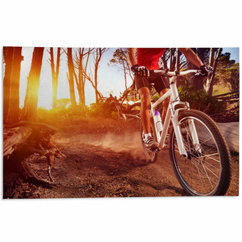 Bicycle Area Rugs & Floor Mats