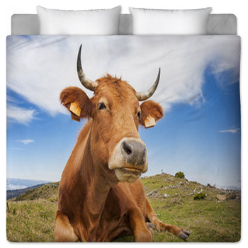 Cow Comforters, Duvets, Sheets & Sets | Custom