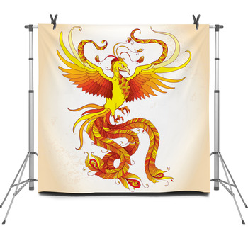 Phoenix Photographer Backdrops | Available in Super Large Custom Sizes