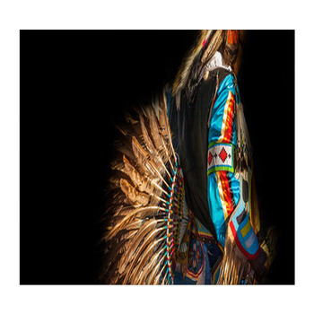 Native american Wall Decor in Canvas, Murals, Tapestries, Posters & More