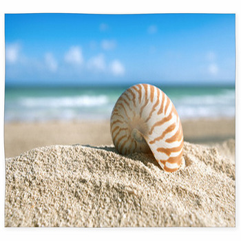 Coastal Area Rugs & Custom Size Floor Mats