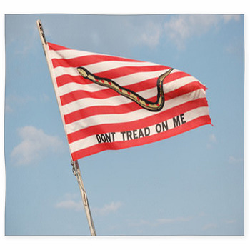 Rebel flag Area Rugs & Custom Size Floor Mats