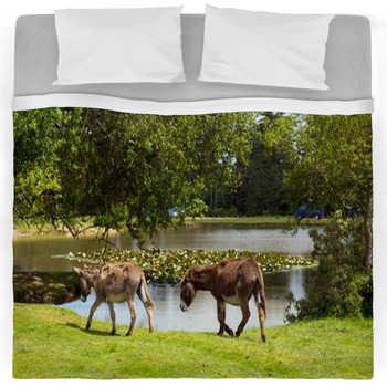 Donkey Comforters, Duvets, Sheets & Sets | Personalized