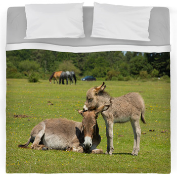 Donkey Comforters, Duvets, Sheets & Sets | Personalized